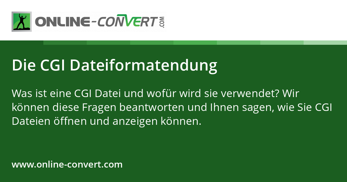 Die CGI Dateiformatendung