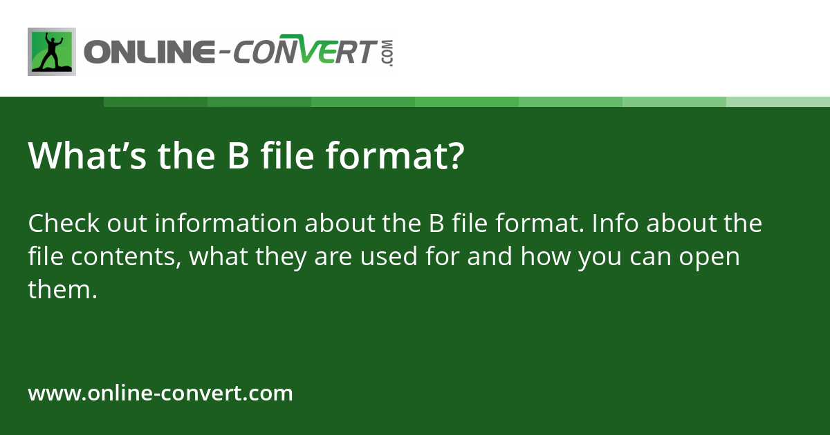 What’s the B file format?