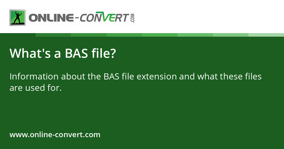 What's a BAS file?