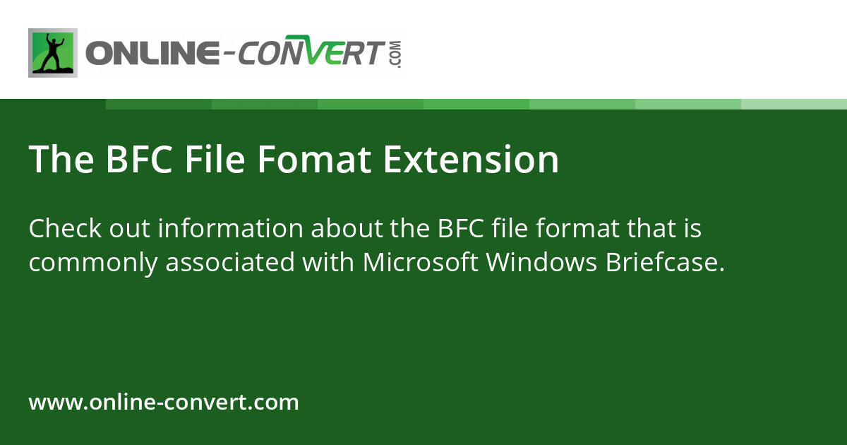 The BFC File Fomat Extension