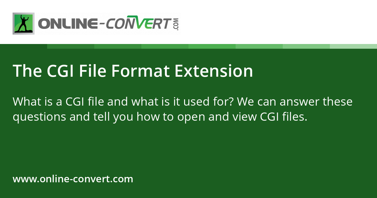 The CGI File Format Extension