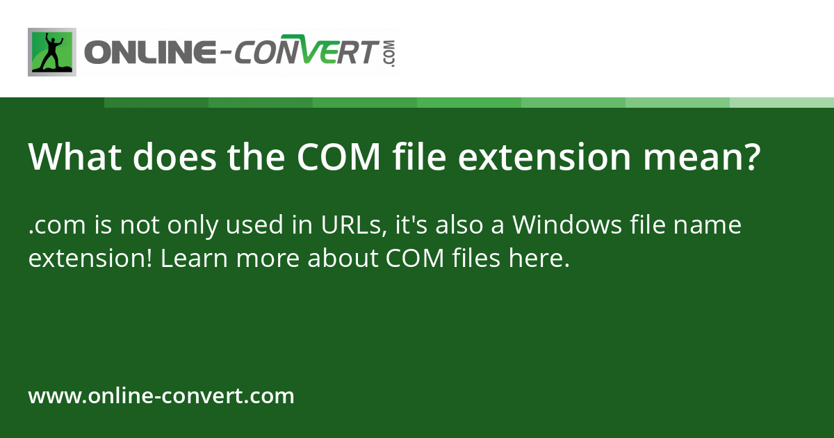 What does the COM file extension mean?