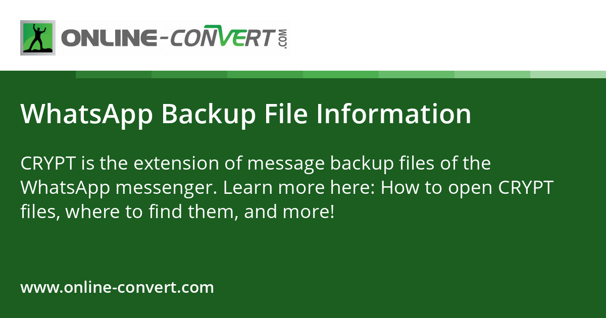 WhatsApp Backup File Information