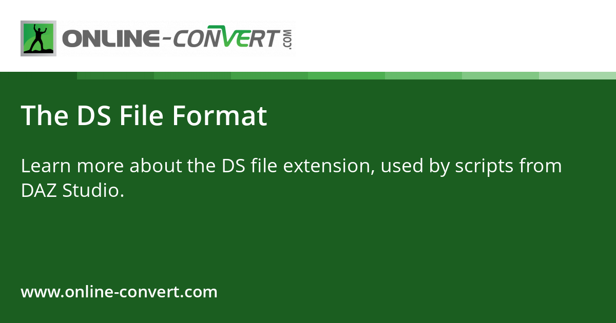The DS File Format
