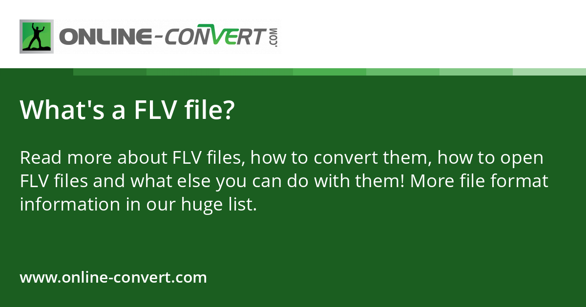 What's a FLV file?