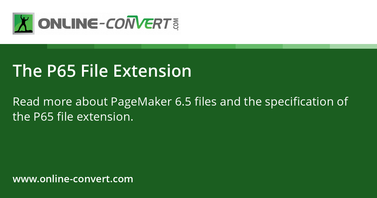 The P65 File Extension