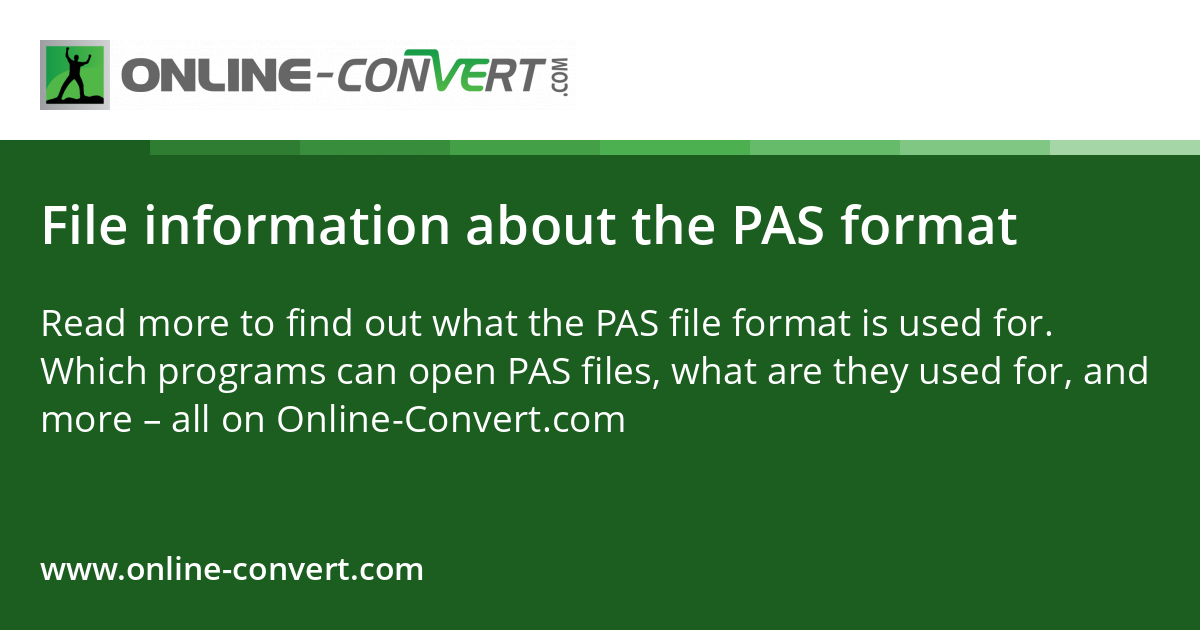 File information about the PAS format