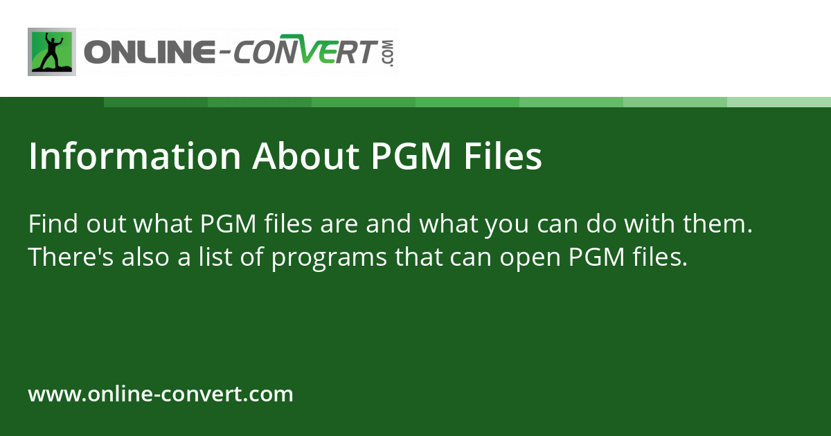 Information About PGM Files