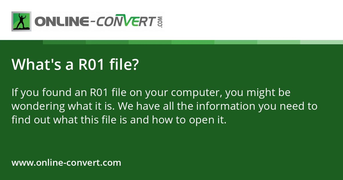 What's a R01 file?