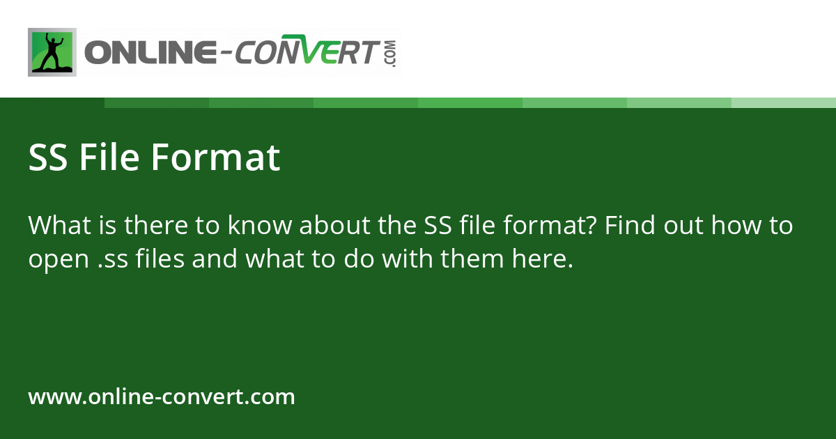 SS File Format