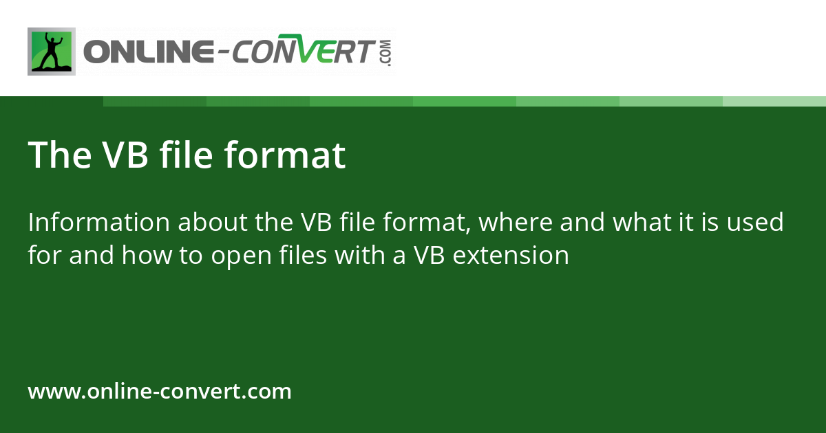 The VB file format The VB file format