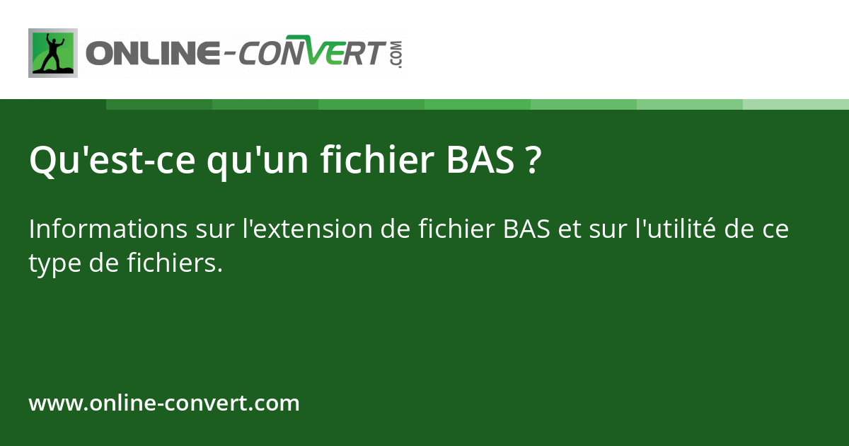 Qu'est-ce qu'un fichier BAS