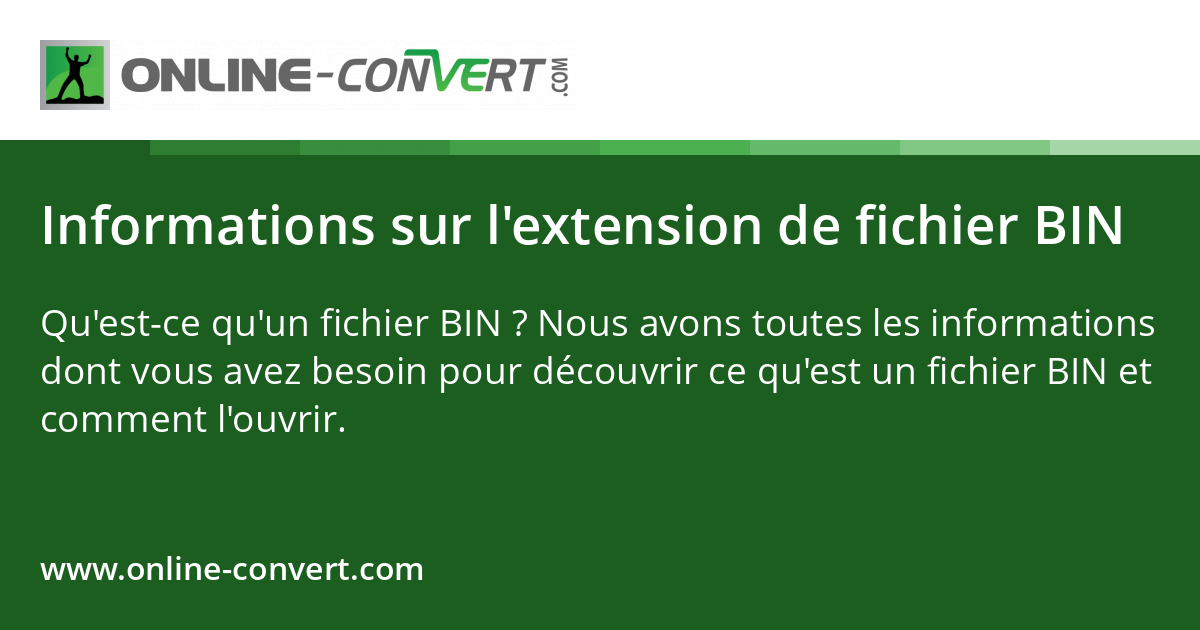 Informations sur l'extension de fichier BIN