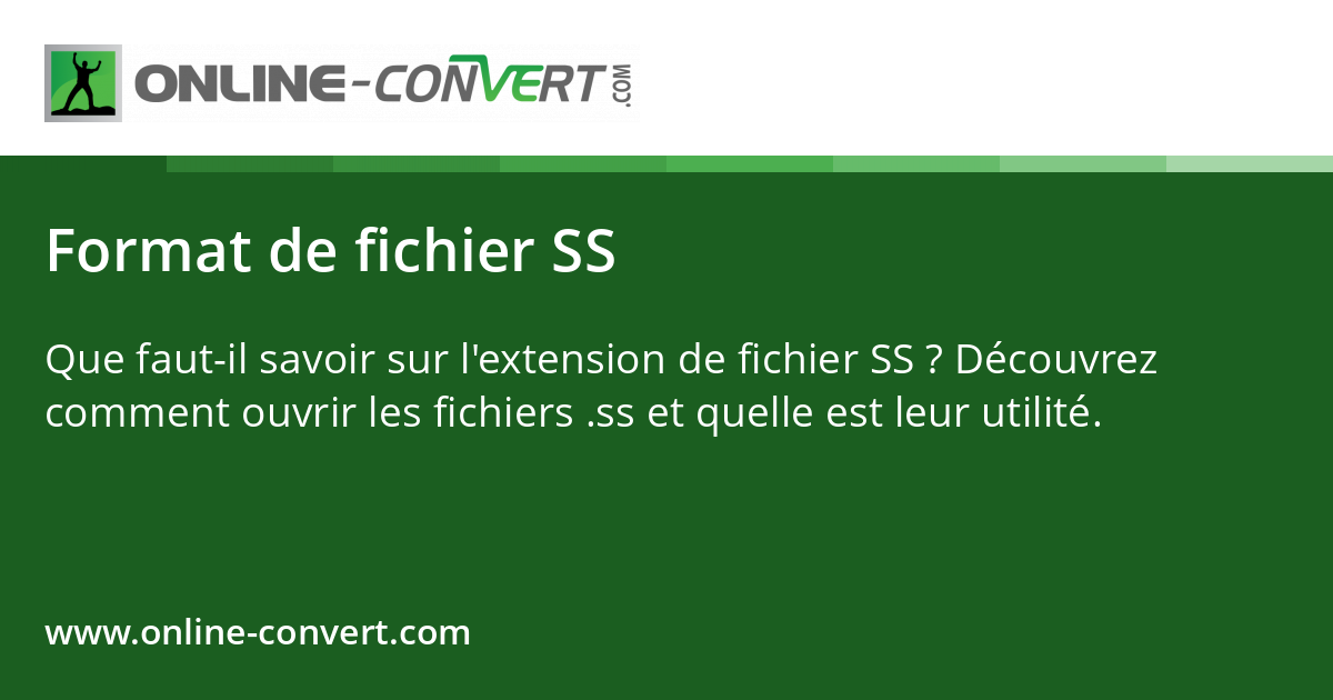 Format de fichier SS