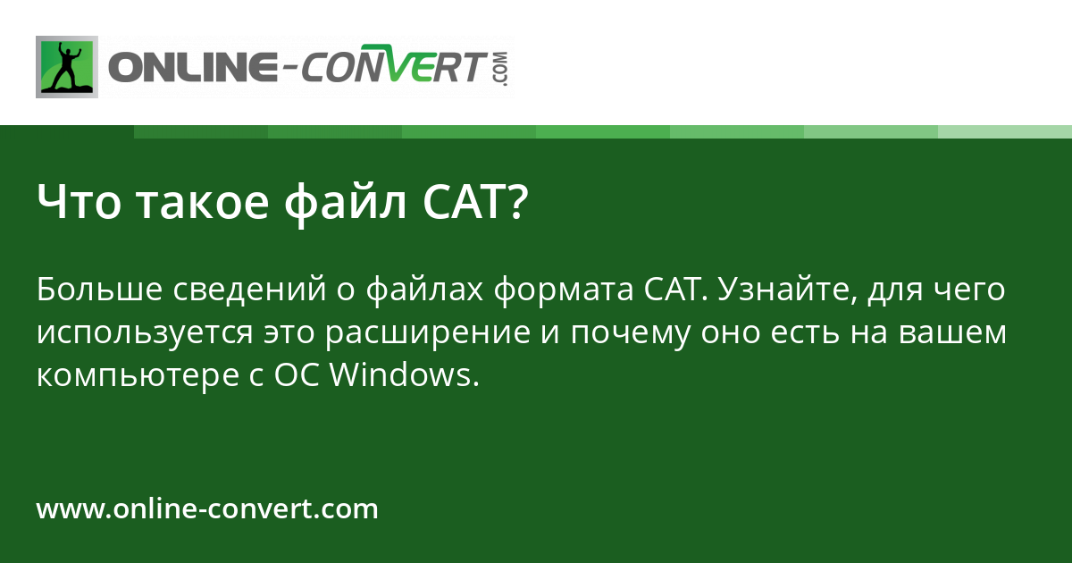 Что такое файл CAT?